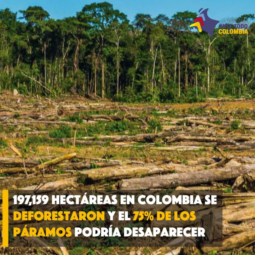 Día Internacional del medio Ambiente ¿Cómo va Colombia? - Ante Todo ...